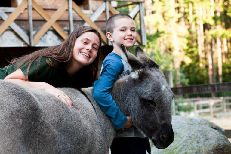 Our Camps – Zajac Ranch