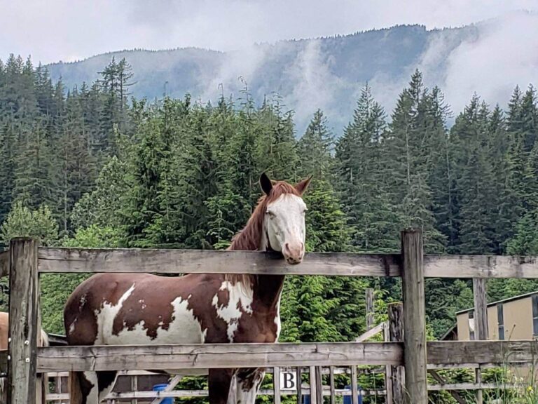 Facilities – Zajac Ranch