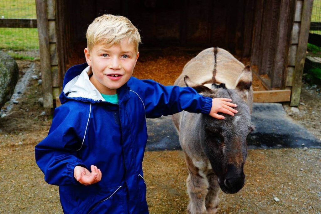 Facilities – Zajac Ranch