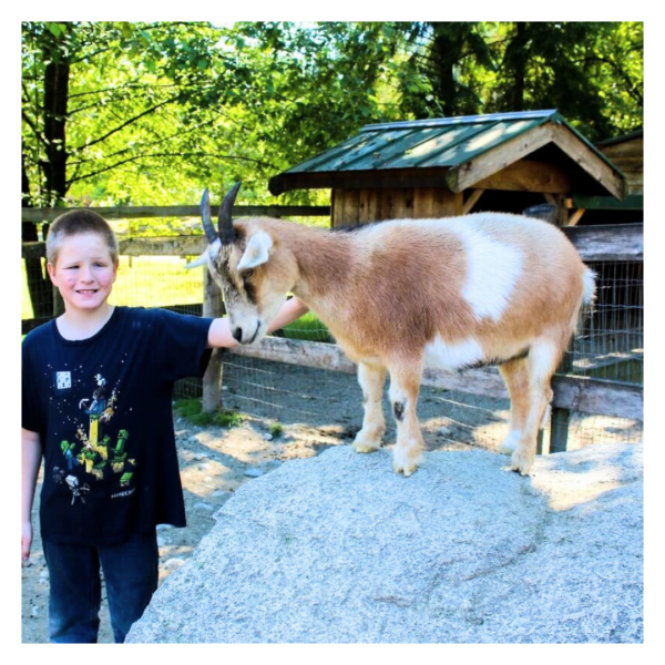 Facilities & Activities – Zajac Ranch